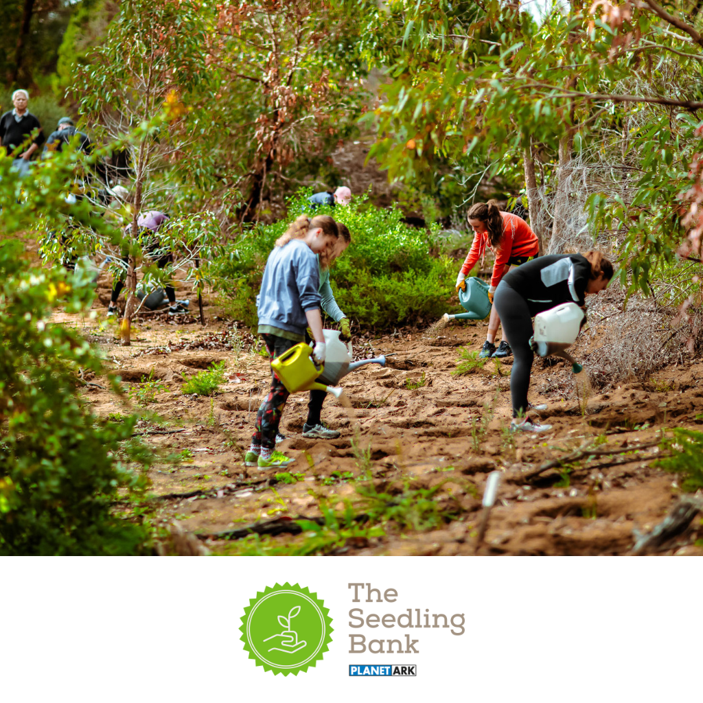 Lifecycle+ Seedlings for Devices – Lifecycle+