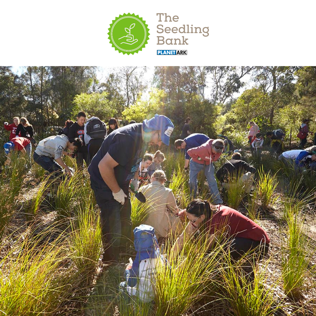 Lifecycle+ Cares – Lifecycle+