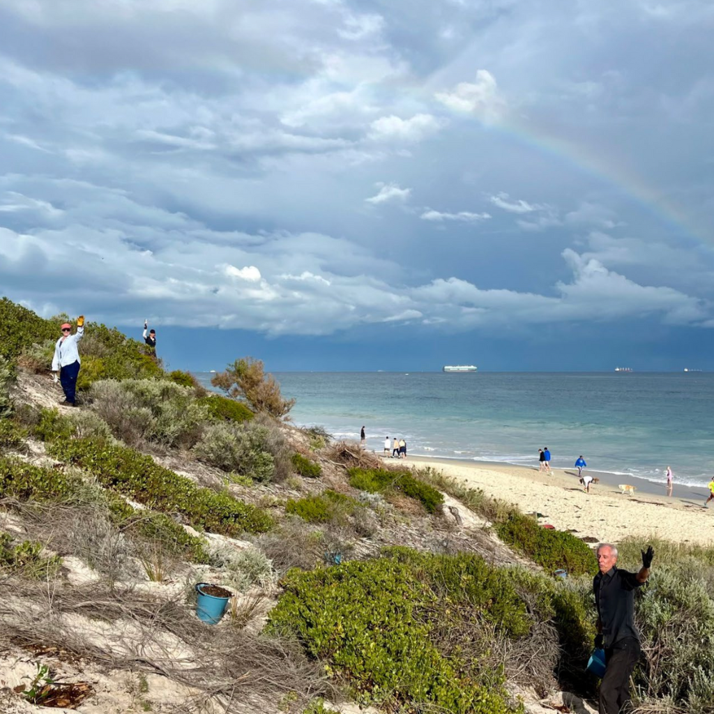 Lifecycle+ Seedlings for Devices – Lifecycle+